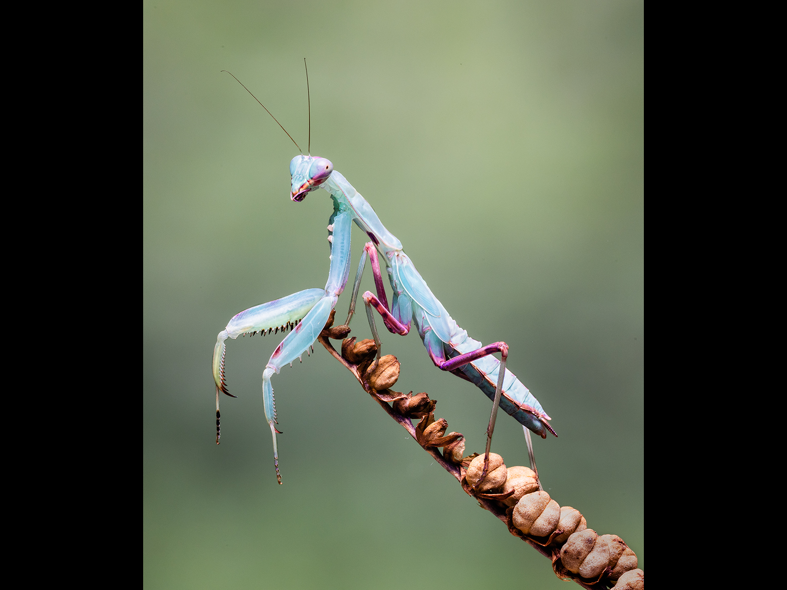 North Cheshire Photographic Society – All you need to know about our Club